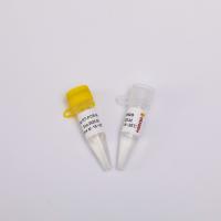 China 50 Rxn 2X Reverse Transcriptase PCR Reagents One Step Master Mix P1001 for sale