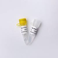 China V3 V5011 200 Rxn 20uL/Rxn One Step RT QPCR Master Mix for sale