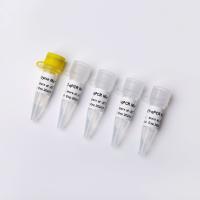 China 30uL/Rxn One Step QPCR Master Mix 200 Rxn Colourless Appearance for sale