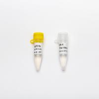 China P2601-5 Multiplex Probe QPCR Mastermix P2601 1ml 66 Rxn 30U for sale