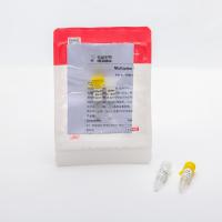 China P2601-5 Multiplex Probe QPCR Mastermix P2601 1ml 66 Rxn 30U for sale