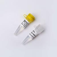 China P2701-4 QPCR Real Time PCR Mix 5ml P2702 2× Concentrated Premix Multiplex Probe for sale