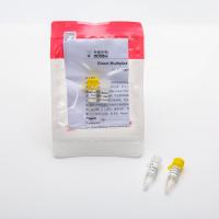 China P2801-5 Real Time PCR Mix Concentrated Premix Direct Multiplex Probe QPCR Mix Plus U P2802 5ml for sale