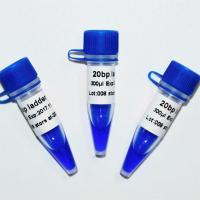 China 20bp Ladder DNA Marker Electrophoresis GDSBio Blue Appearance for sale