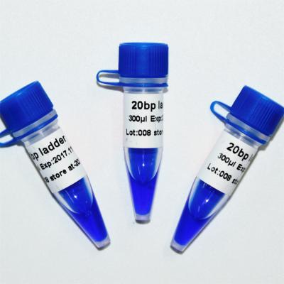 China 20bp Ladder DNA Marker Electrophoresis GDSBio Blue Appearance for sale