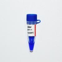 China 20bp Ladder DNA Marker Electrophoresis GDSBio Blue Appearance for sale