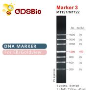 China GDSBio Marker 3 DNA Marker Gel Electrophoresis Blue Appearance for sale