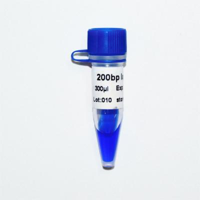 China Classic DNA Marker Electrophoresis 500bp Ladder GDSBio for sale
