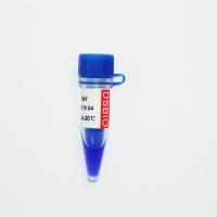 China 10bp DNA Ladder Gel Electrophoresis High Purity Reagents for sale