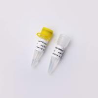 China 5× One Step Probe RT QPCR Master Mix Colourless Appearance for sale