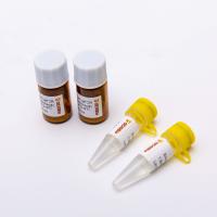 China 200rxn Lyophilized 2X One Step RT QPCR Master Mix V5007L for sale