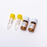 China 200rxn Lyophilized 2X One Step RT QPCR Master Mix V5007L for sale