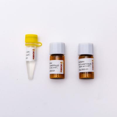 China DSPath 4X One Step RT QPCR Master Mix for sale
