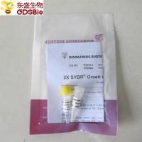 China SYBR Green qPCR Mix for Roche Biorad DNA real time PCR for sale