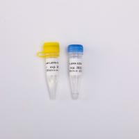 China Heat Labile Master Mix For Real Time PCR UDG Highly Effective Anti Contamination Enzyme for sale