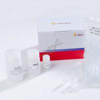 China Spin Column Viral Nucleic Acid Extraction Kit DNA RNA Swab Saliva for sale