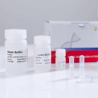 China Spin Column Viral Nucleic Acid Extraction Kit DNA RNA Swab Saliva for sale