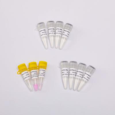 China GDSBio One Step QPCR Master Mix for sale