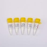China 1ml 5ml 10ml Viral Nucleic Acid Extraction Kit Clear Liquid for sale