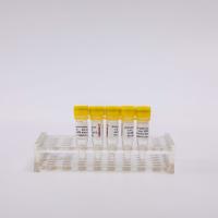 China GDSBio Nucleic Acid Purification Kit 2019-NCoV-AbEN Pseudovirus V1001 V1002 V1003 for sale