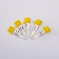 China GDSBio Nucleic Acid Purification Kit 2019-NCoV-AbEN Pseudovirus V1001 V1002 V1003 for sale
