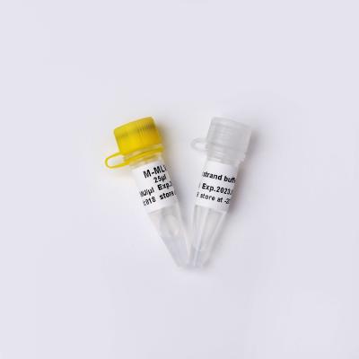 China M-MLV Reverse Transcriptase PCR Reagents R1042 for sale
