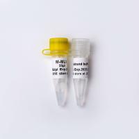 China M-MLV Reverse Transcriptase PCR Reagents R1042 for sale