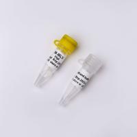 China M-MLV Reverse Transcriptase PCR Reagents R1042 for sale