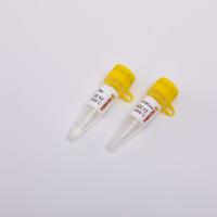 China 10000U Gold Reverse Transcriptase PCR R3002 Colourless Appearance for sale