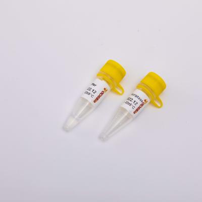 China 10000U Gold Reverse Transcriptase PCR R3002 Colourless Appearance for sale