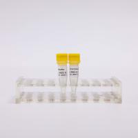 China 10000U Gold Reverse Transcriptase PCR R3002 Colourless Appearance for sale