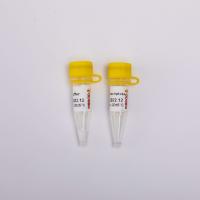 China 10000U Gold Reverse Transcriptase PCR R3002 Colourless Appearance for sale