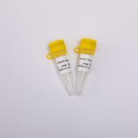 China 10000U Gold Reverse Transcriptase PCR R3002 Colourless Appearance for sale