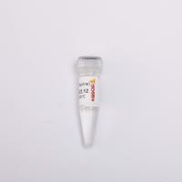 China GDSBio Reverse Transcriptase PCR Reagents 20000U Rnase Inhibitor Chemical for sale