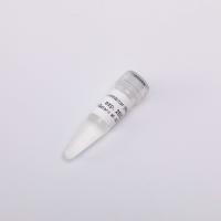 China GDSBio Reverse Transcriptase PCR Reagents 20000U Rnase Inhibitor Chemical for sale