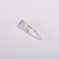 China GDSBio Reverse Transcriptase PCR Reagents 20000U Rnase Inhibitor Chemical for sale