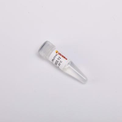 China GDSBio Reverse Transcriptase PCR Reagents 20000U Rnase Inhibitor Chemical for sale