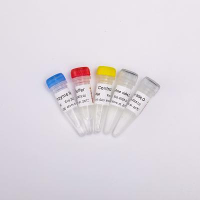 China R1031 GDSBio RT PCR Mix For QPCR Premixed Reverse Transcriptase PCR Reagents for sale