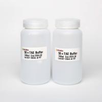China GDSBio 50× Tae In Gel Electrophoresis Transparent Color for sale