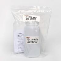 China GDSBio 50× Tae In Gel Electrophoresis Transparent Color for sale