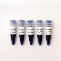 China 6× DNA Electrophoresis Buffer for sale
