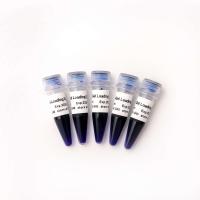 China Two Color 6× Gel Loading Dye for sale