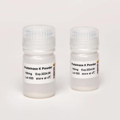 China GDSBio In Vitro Diagnostic Products Molecular Biology Grade Proteinase K Powder PK N9016 100mg for sale