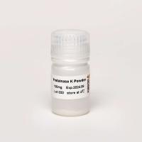 China GDSBio In Vitro Diagnostic Products Molecular Biology Grade Proteinase K Powder PK N9016 100mg for sale