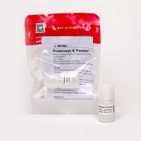 China GDSBio In Vitro Diagnostic Products Molecular Biology Grade Proteinase K Powder PK N9016 100mg for sale