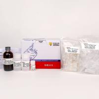 China General RNA Extraction Kit R1051 50 preps for sale