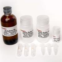 China General RNA Extraction Kit R1051 50 preps for sale