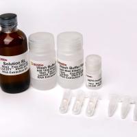 China General RNA Extraction Kit R1051 50 preps for sale