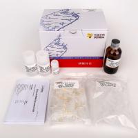 China General RNA Extraction Kit R1051 50 preps for sale