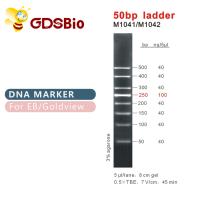 China 50bp 50ug DNA Marker Electrophoresis High Purity Reagents for sale